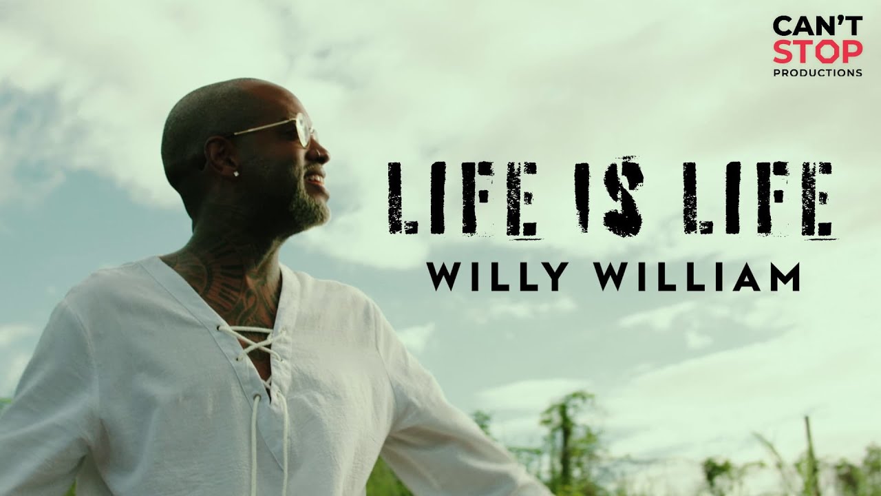 Life Is Life (C'est La Vie) by Willy William from France | Popnable