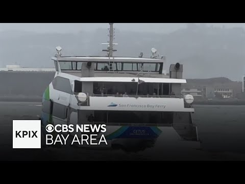 San Francisco celebrates $55M grant for high-speed, zero-emission ferry network