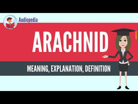 What Is ARACHNID? ARACHNID Definition & Meaning