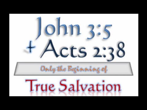 Roger Perkins "The Biblical Plan of Salvation"
