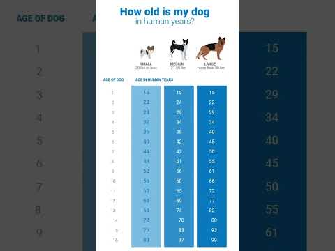 Human - Dog Age Chart