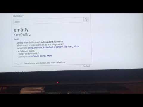 What is an entity?