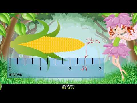 3rd Grade - Math - Length - Topic Overview