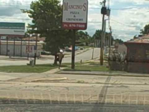Mancinos guy dancing