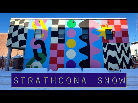 Snowy Strathcona (Dec ‘22) #vancouver #604 #yvr #vancity #vancouverbc