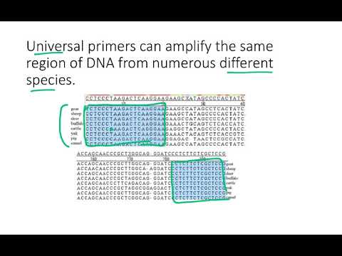 BIO178_MolMarkers_SingleGeneSequencing