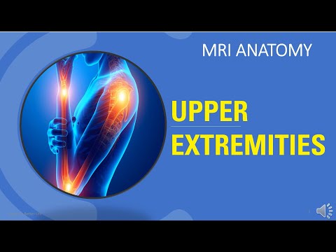 MRI Board Review - Upper Extremities Anatomy.