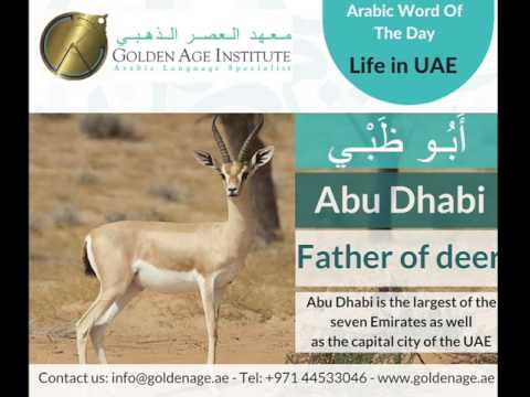 Golden Age Institute | Arabic Word of the day : Abu Dhabi - Father of deer