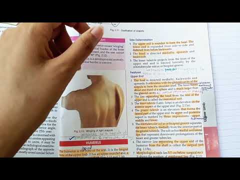 humerus bone!!! urdu/hindi explained