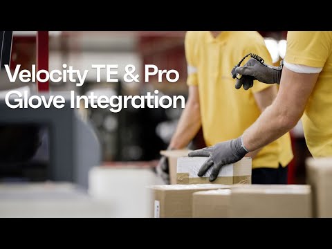 Velocity TE and Pro Glove Integration