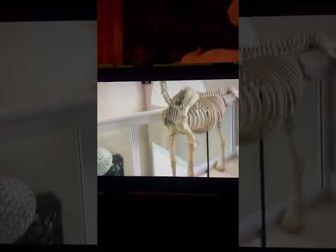 The Home Depot skeleton horse