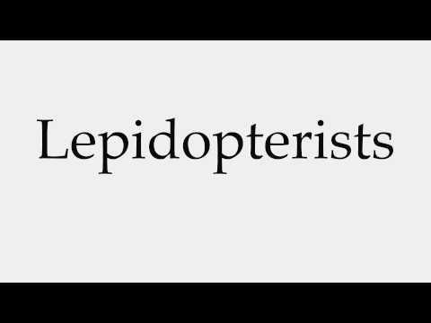 How to Pronounce Lepidopterists