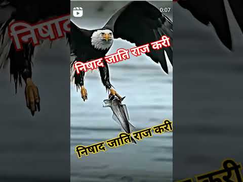 #निषाद जाति राज करी# nitesh bhai nishad Chitrakoot nishad_up 96 #nishad song 2024