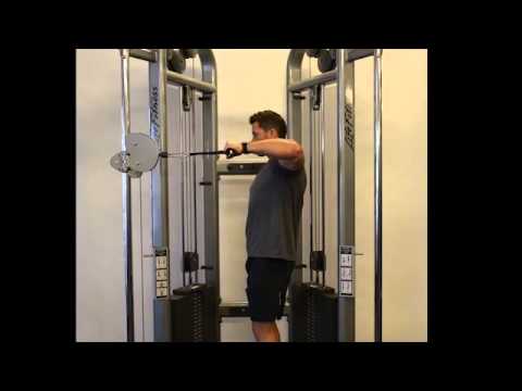 Cable Upright Shoulder External Rotation | myworkouts.io