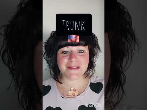 Vocabulary: Trunk
