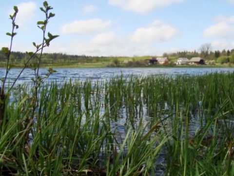 Kaszubskie jeziora