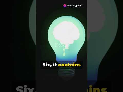 "Brains: The Ultimate Fact Machines"