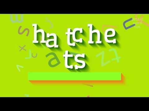How to say "hatchets"! (High Quality Voices)