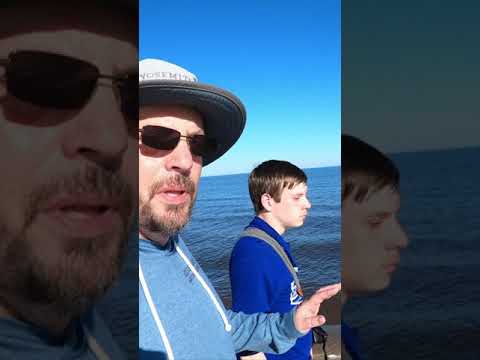 Florida's Bald Point State Park #shorts