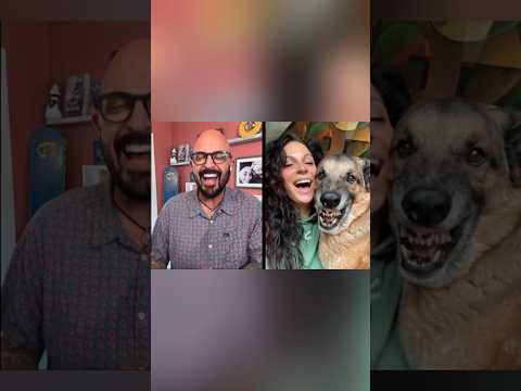 A dog who smiles on command? Yes please! @DjangoSmiles #smile #dogs #funny