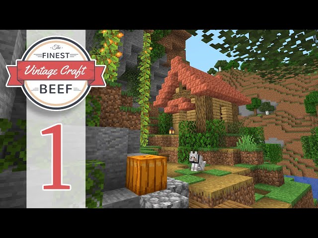 10 best official Minecraft servers