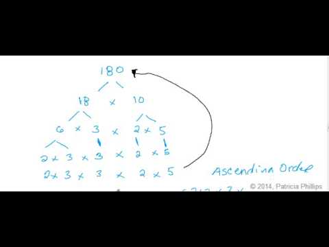 Prime Factorization pt1