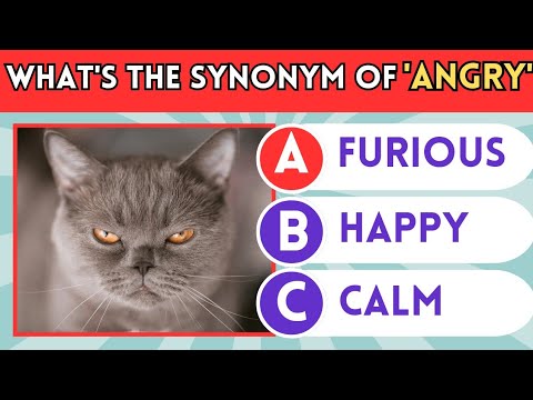 Check Your Basic Knowledge and Guess the synonym | Guess the same meaning