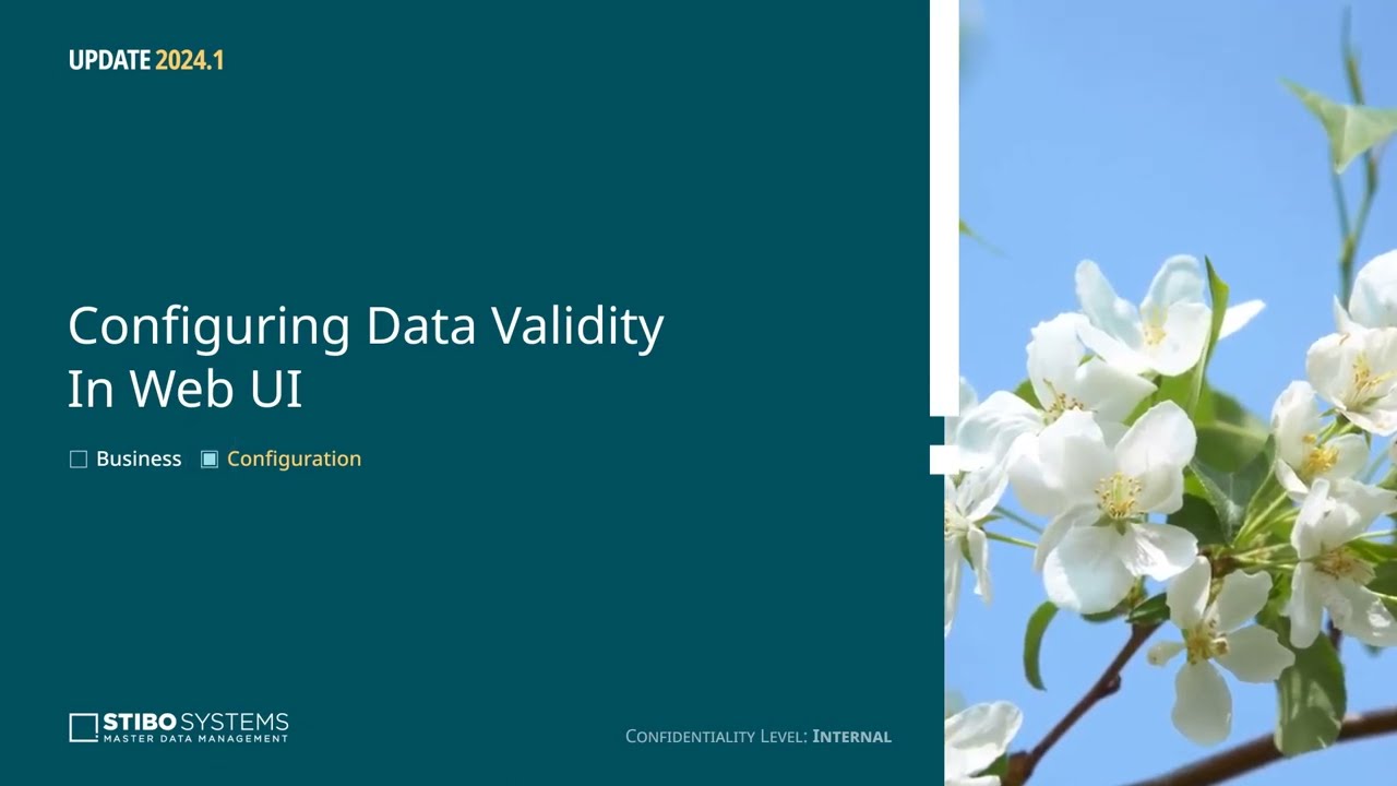 Master Data Management (MDM) 2024.1: Configuring Conditional Data Validity in Stibo STEP