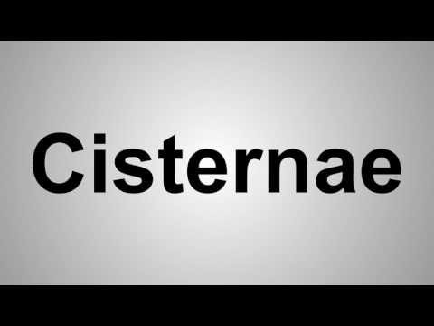 How To Pronounce Cisternae