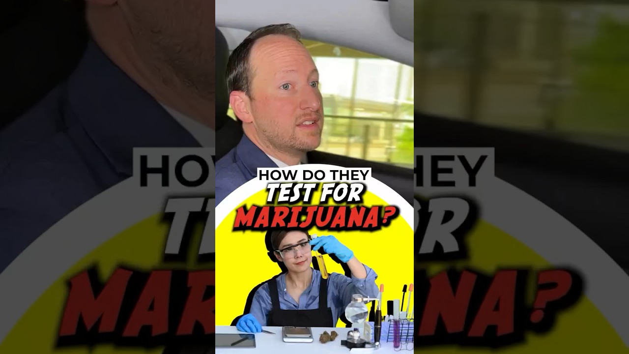 Can BLOOD 🧪 Tell You’re High on WEED? #Law #DWI #criminaldefense