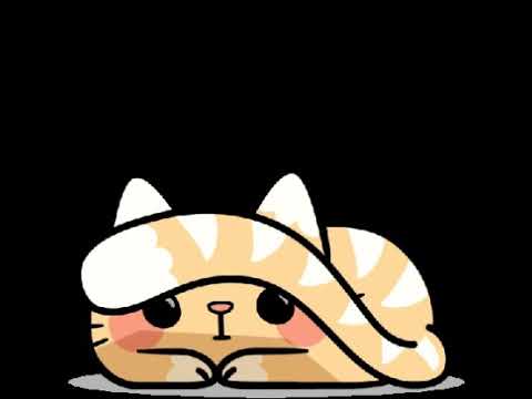 Cute cat gifs