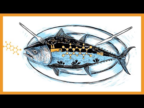Tetrodotoxin vs. Ciguatoxin vs. Scombroid Poisoning