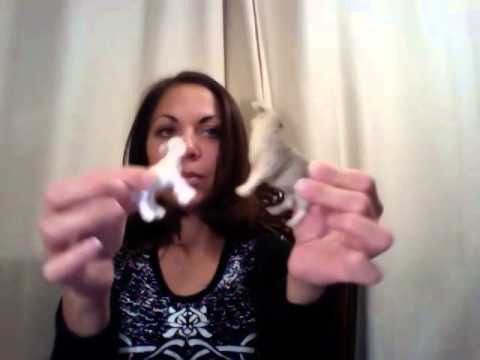 AMAZING Schleich ANIMAL Toys ornaments COLLECTION