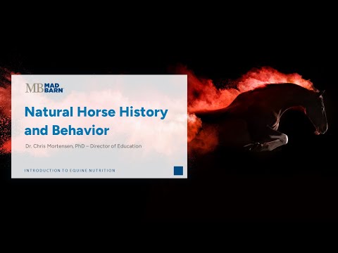 1.1 - Natural Horse Behavior - Introduction to Equine Nutrition - Mad Barn Academy