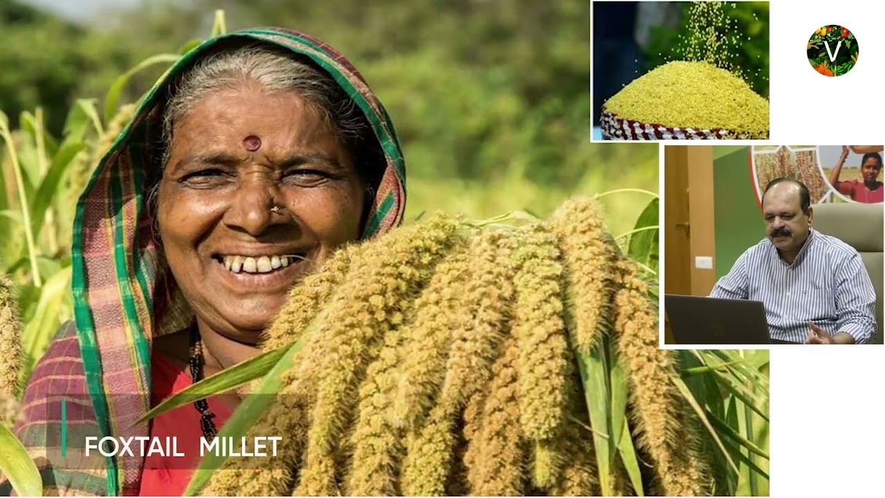 Visual Citation - Indian Institute of Millet Research (IIMR)
