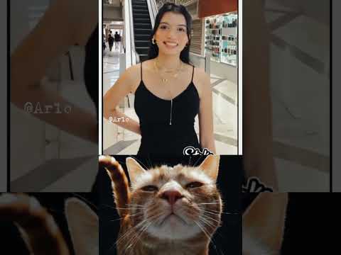 the most beautiful gift #cat #meme #funny #dance