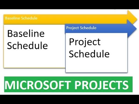 Day 11 Baseline Schedule In MSP