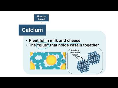 What’s the Crunch? Crystals in Cheese