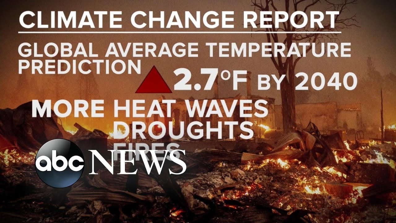 UN climate report issues a ‘code red for humanity’