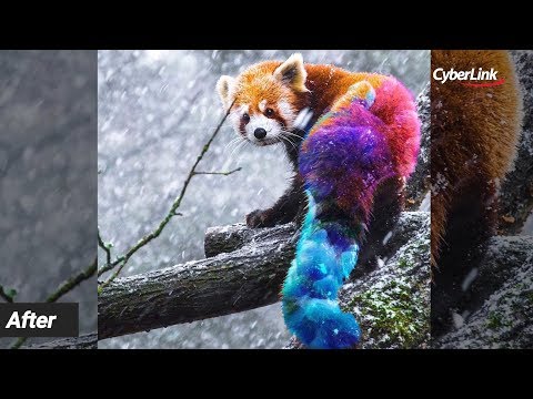 PhotoDirector Mobile App | How to Create Double Exposure Images