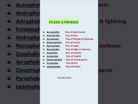 phobias and fears#Basic English#English vocabulary