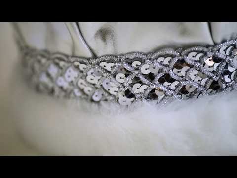 Royal Metallic Crown with Silver