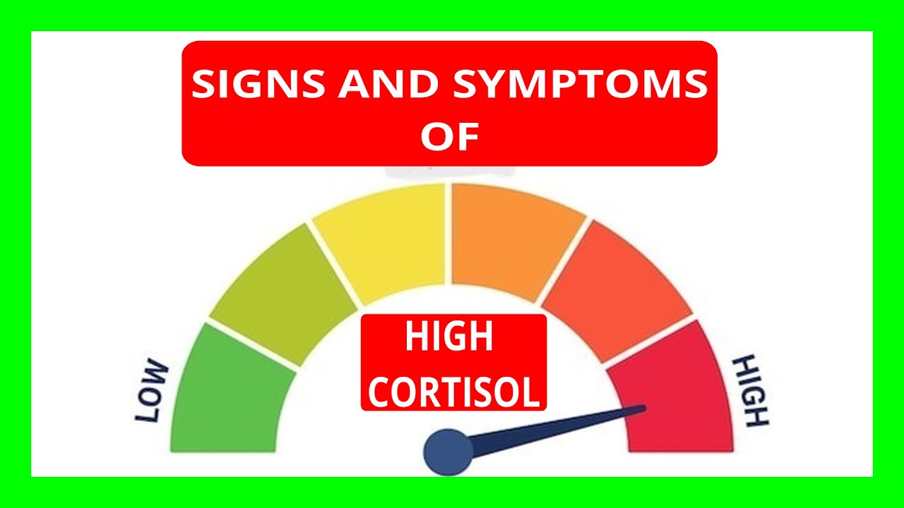 9 Signs You Have High Cortisol