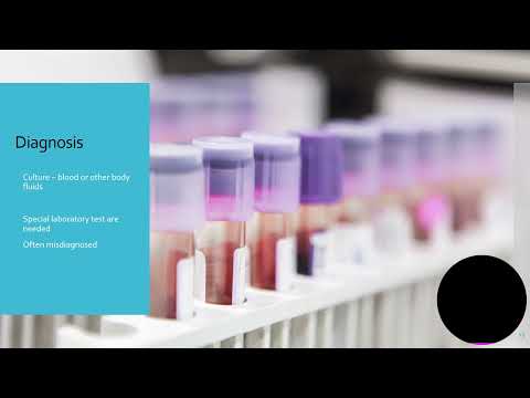 An Introduction to Candida Auris