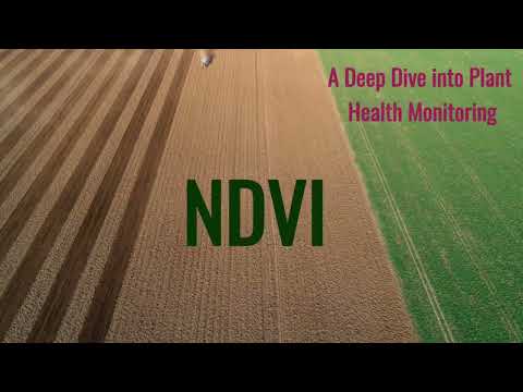 NDVI: A Deep Dive into Plant Health Monitoring