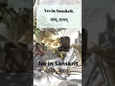 #sanskrit#shorts||English to Sanskrit translation #studywithkiran #संस्कृत