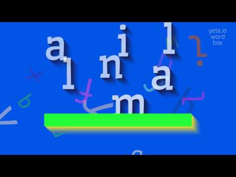 How to say "alnilam"! (High Quality Voices)