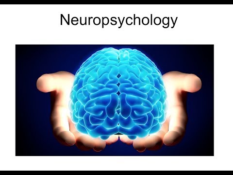 Neuropsychology 7.3: Spatial Behavior and the Brain