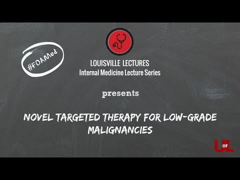 Novel Targeted Therapy for Low-Grade Lymphoid Malignancies in Older Adults by Dr. Krem