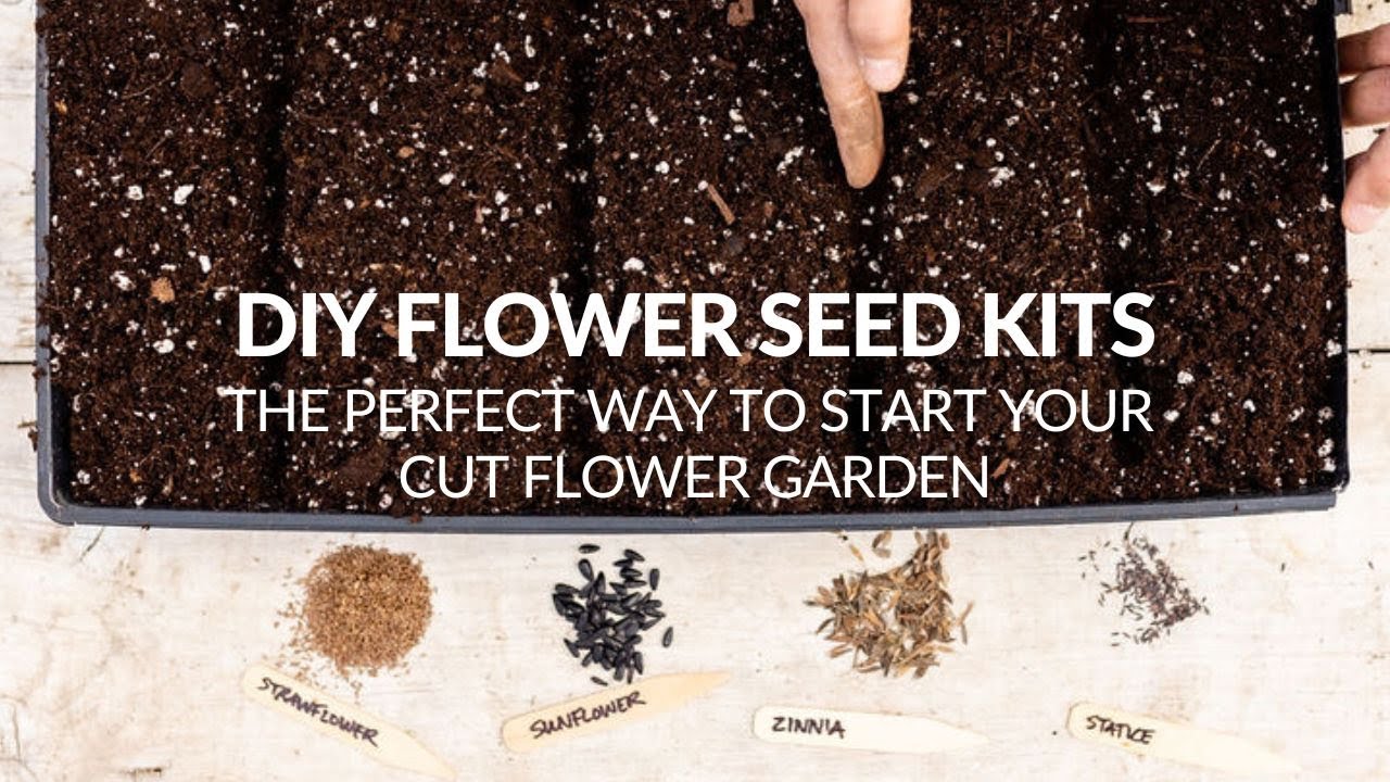 DIY Flower Seed Kit: The Perfect Way to Start Your Cut Flower Garden